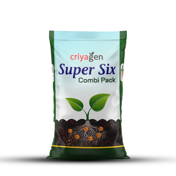 Super Six – criyagen